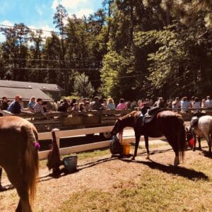 Harvest Fair at Hunt Club Farm! - MyActiveChild.com
